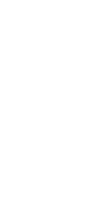 Our Brand – Lemonilo